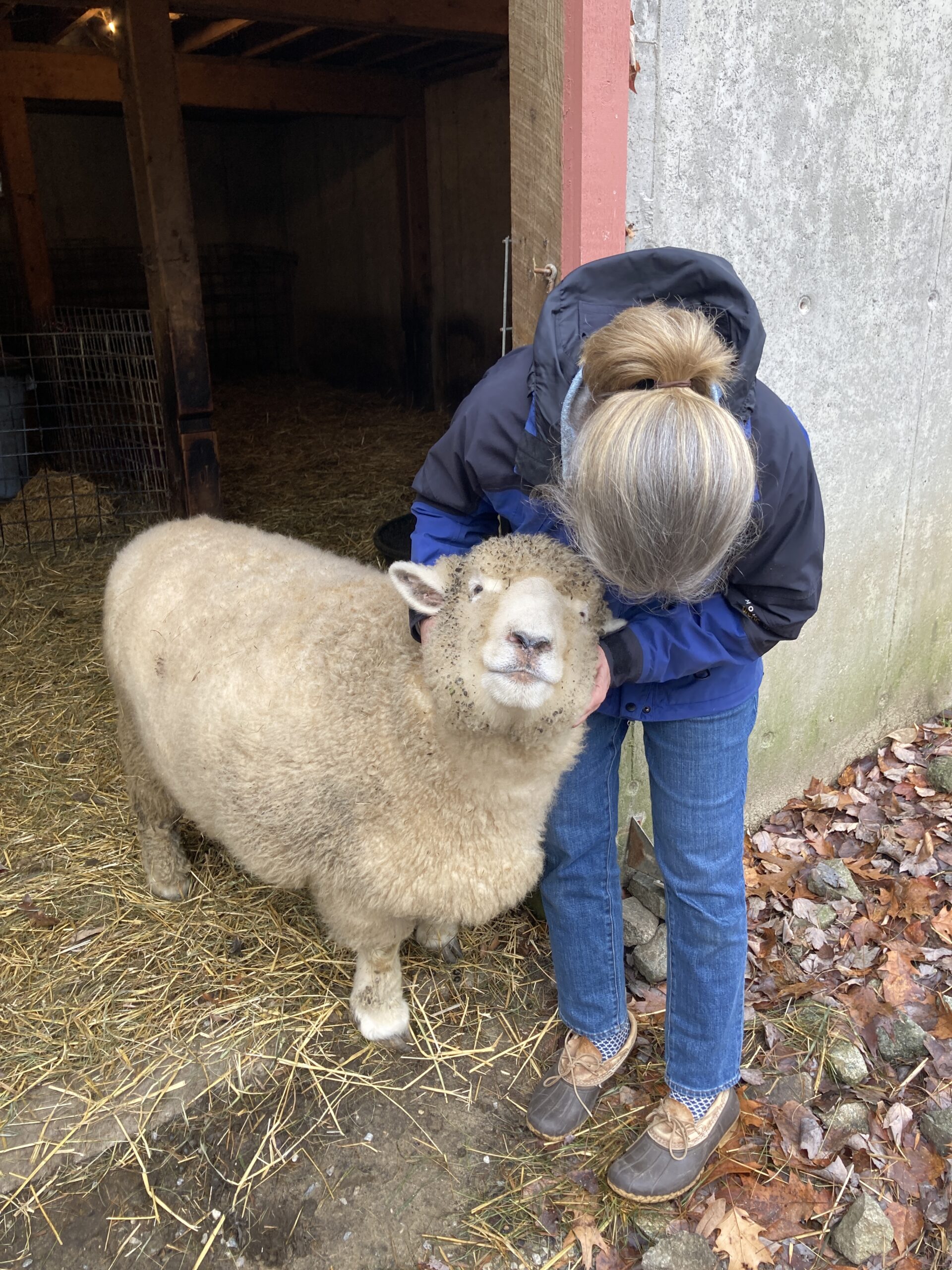 Woolgathering - Heather Vogel Frederick