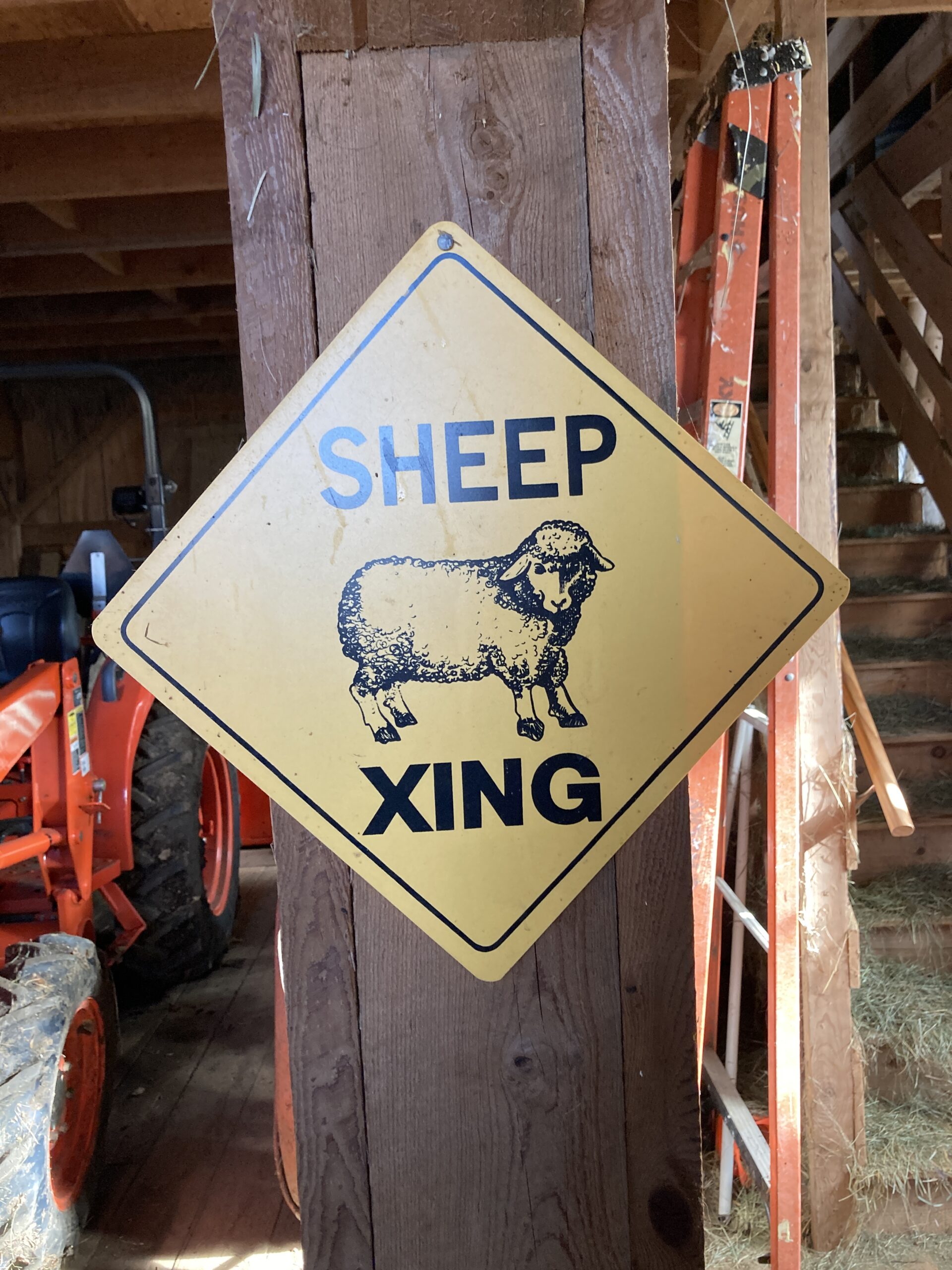 Woolgathering - Heather Vogel Frederick