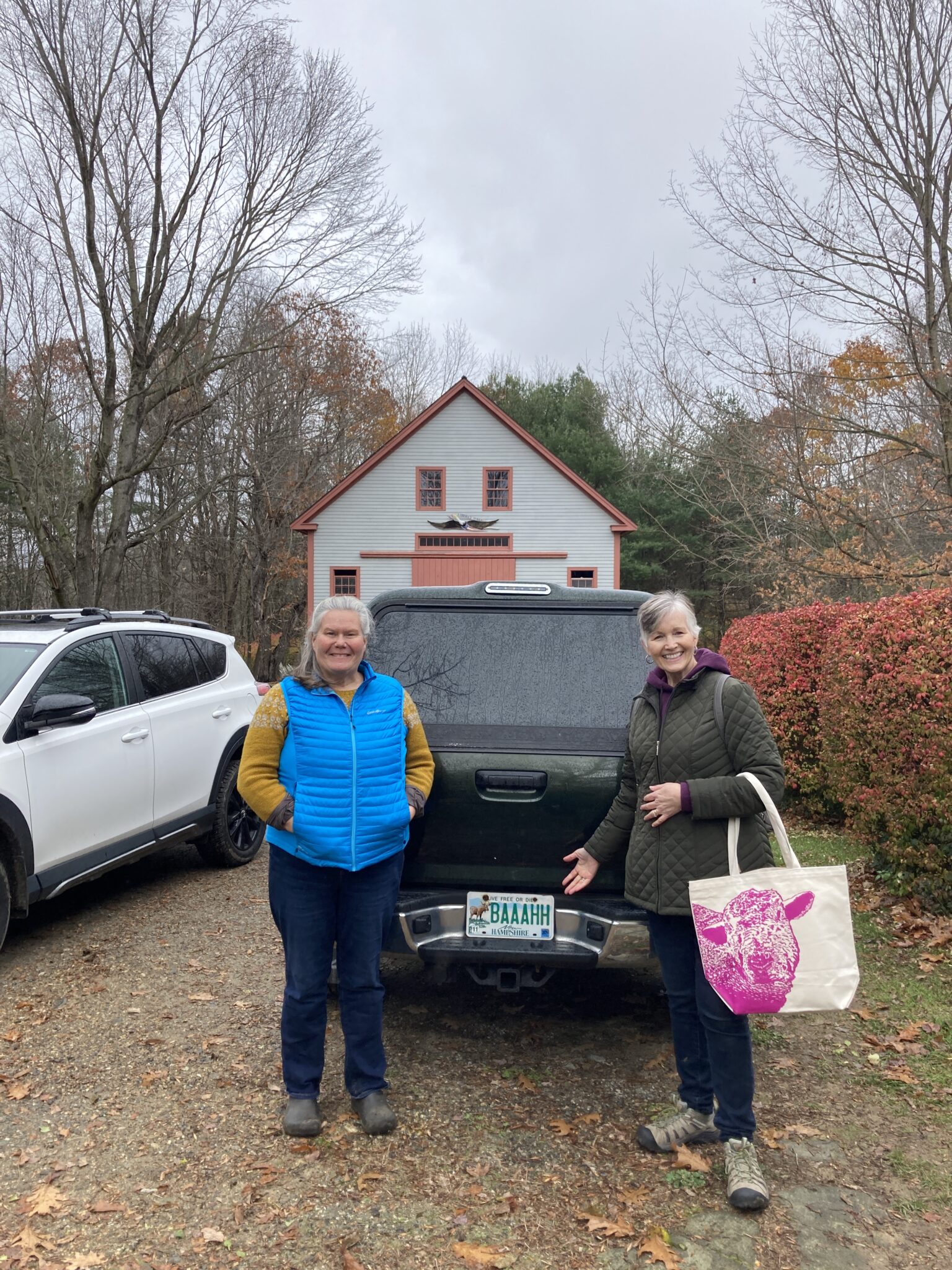 Woolgathering - Heather Vogel Frederick
